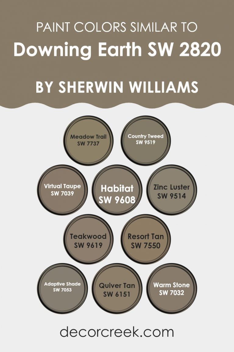 Downing Earth SW 2820 Paint Color by Sherwin Williams - DecorCreek