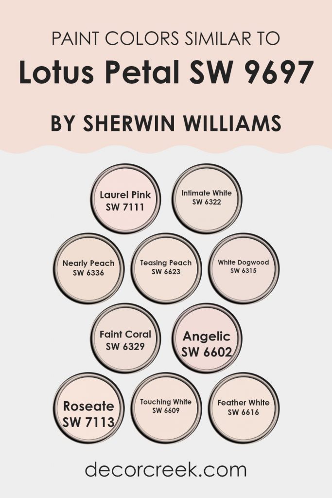 Lotus Petal SW 9697 Paint Color by Sherwin Williams - DecorCreek