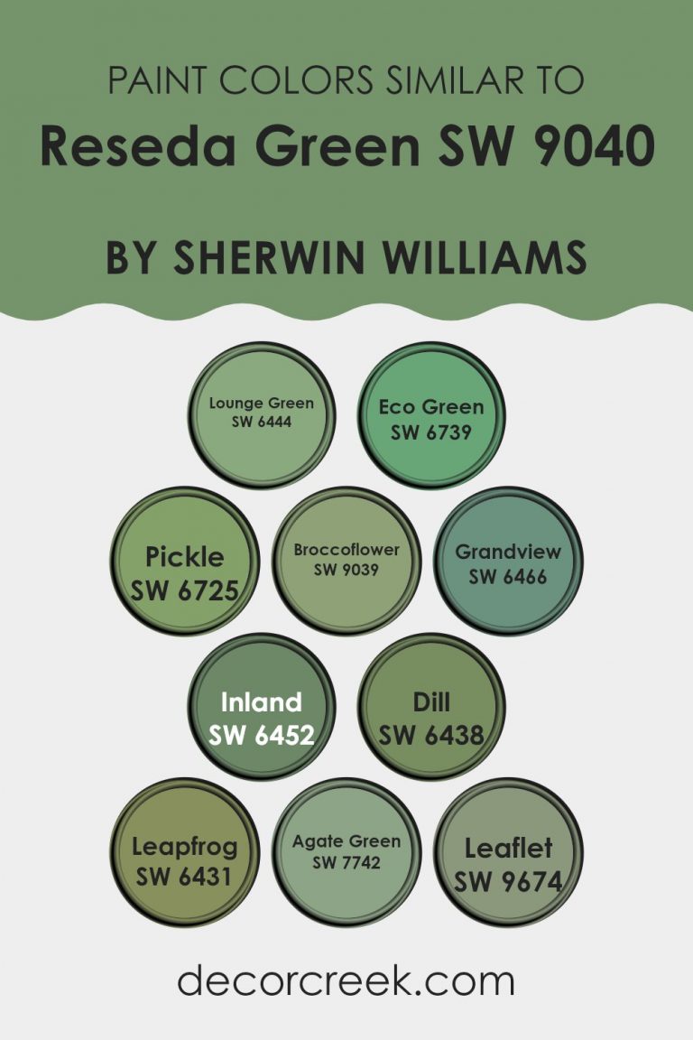 Reseda Green SW 9040 Paint Color by Sherwin Williams - DecorCreek