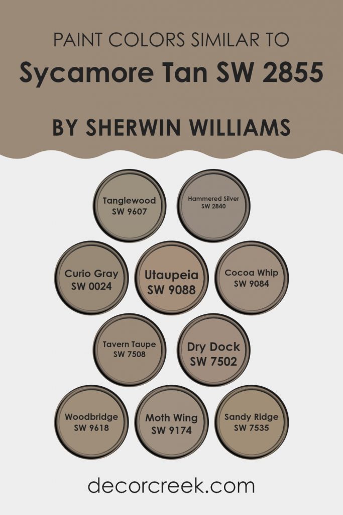 Sycamore Tan SW 2855 Paint Color by Sherwin Williams - DecorCreek