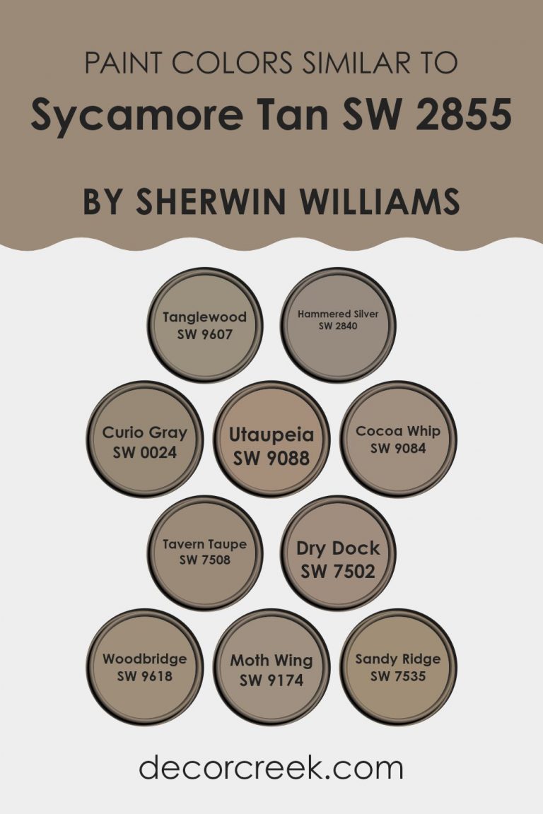 Sycamore Tan SW 2855 Paint Color by Sherwin Williams - DecorCreek