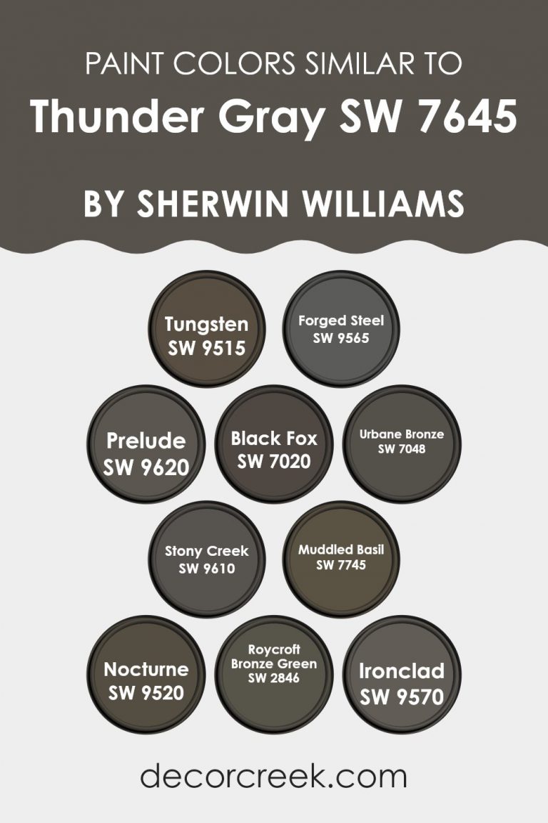 Thunder Gray SW 7645 Paint Color by Sherwin Williams - DecorCreek