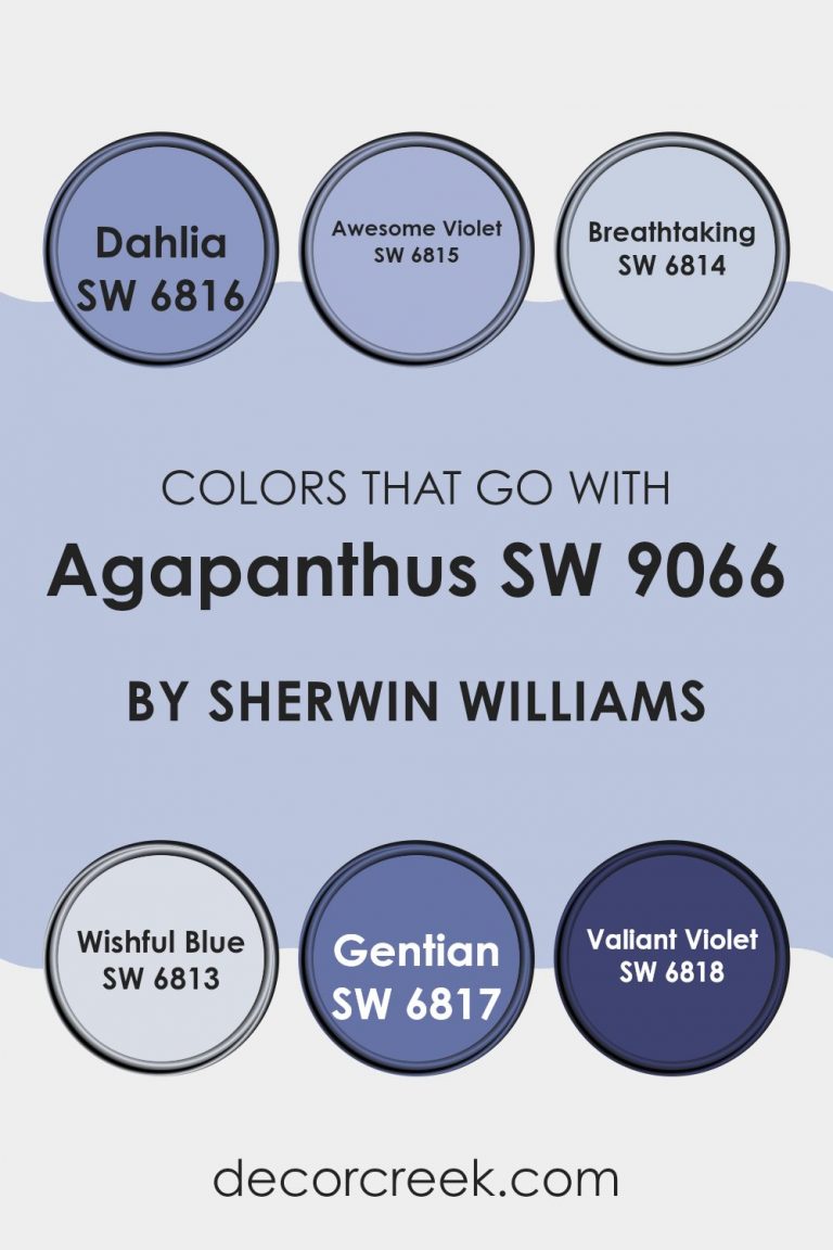 Agapanthus SW 9066 Paint Color by Sherwin Williams - DecorCreek