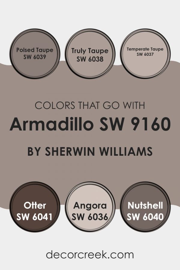 Armadillo SW 9160 Paint Color by Sherwin Williams - DecorCreek