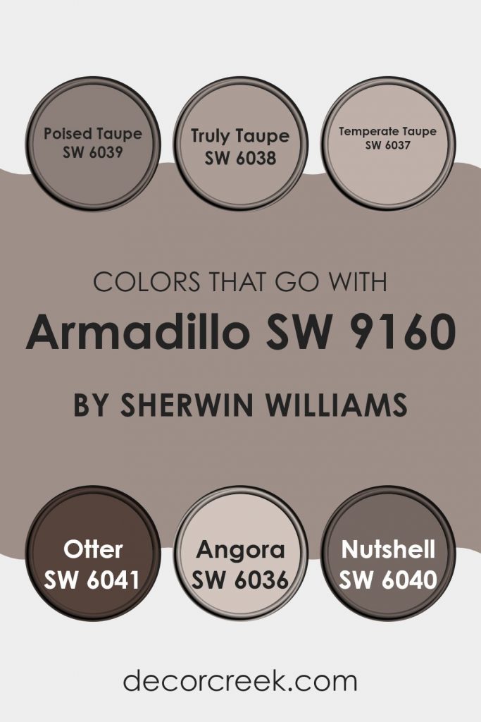 Armadillo SW 9160 Paint Color by Sherwin Williams - DecorCreek