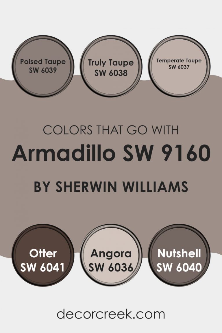 Armadillo SW 9160 Paint Color by Sherwin Williams - DecorCreek