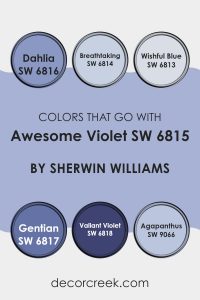 Awesome Violet SW 6815 Paint Color by Sherwin Williams - DecorCreek