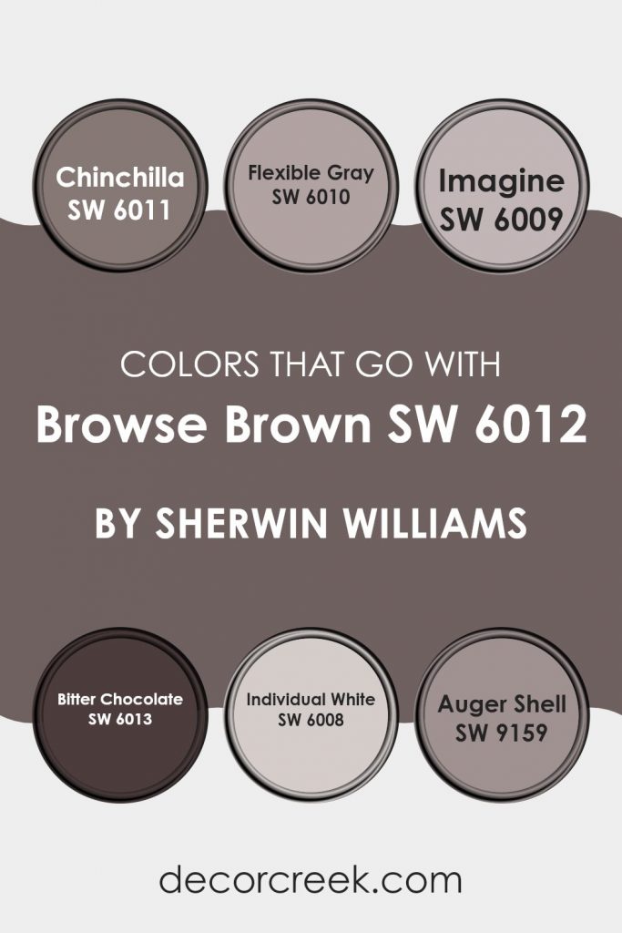 Browse Brown SW 6012 Paint Color by Sherwin Williams - DecorCreek