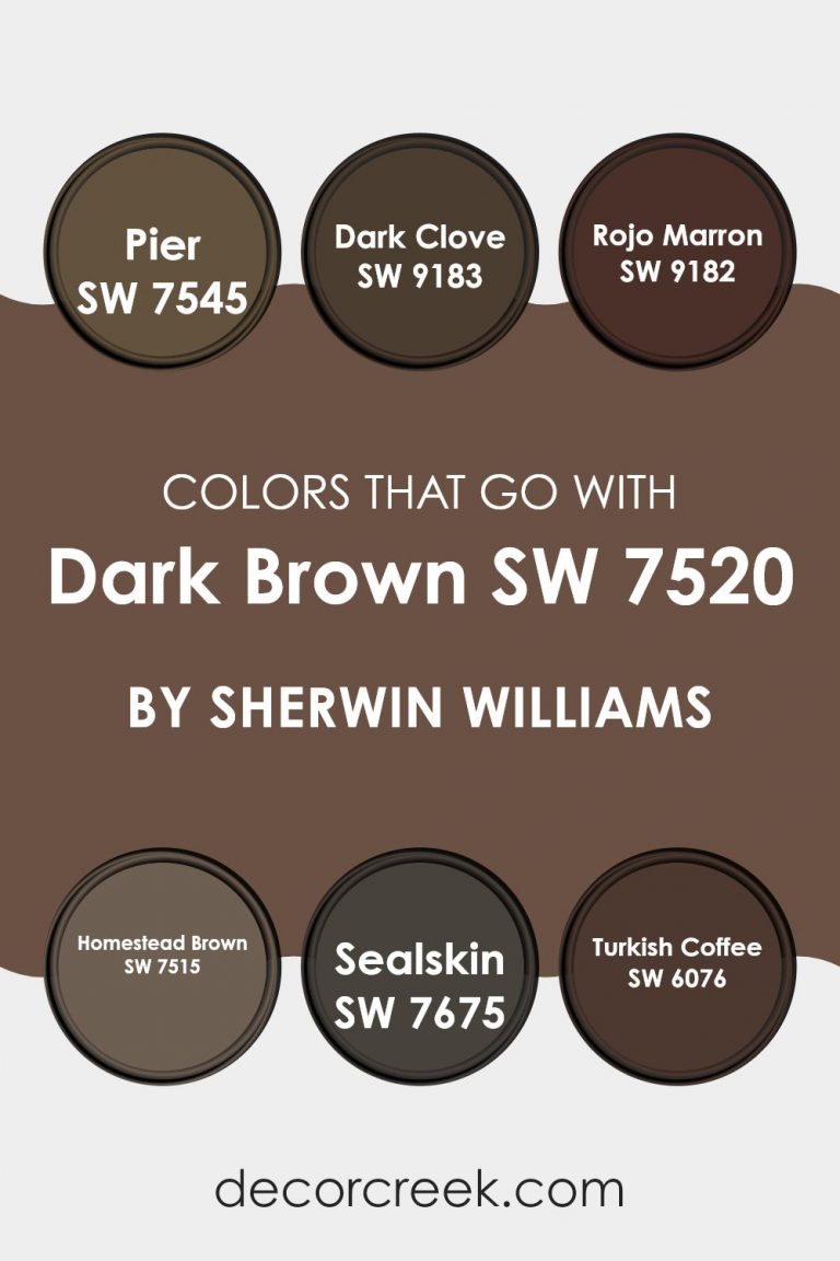 Dark Brown SW 7520 Paint Color by Sherwin Williams - DecorCreek