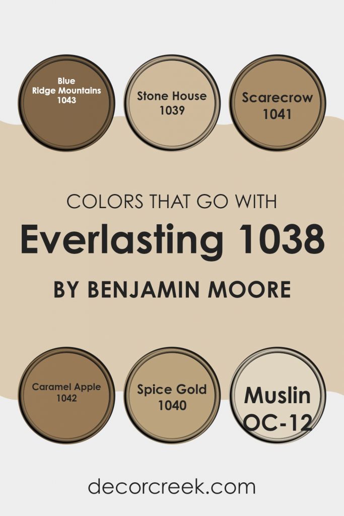 Everlasting 1038 Paint Color by Benjamin Moore - DecorCreek