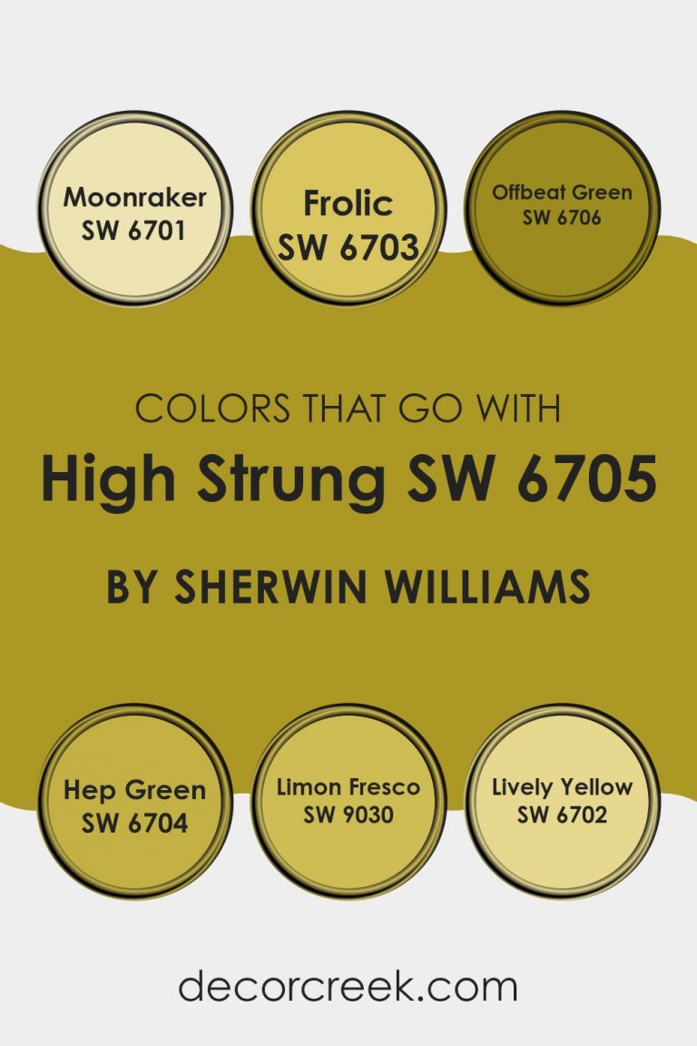 High Strung SW 6705 Paint Color by Sherwin Williams - DecorCreek