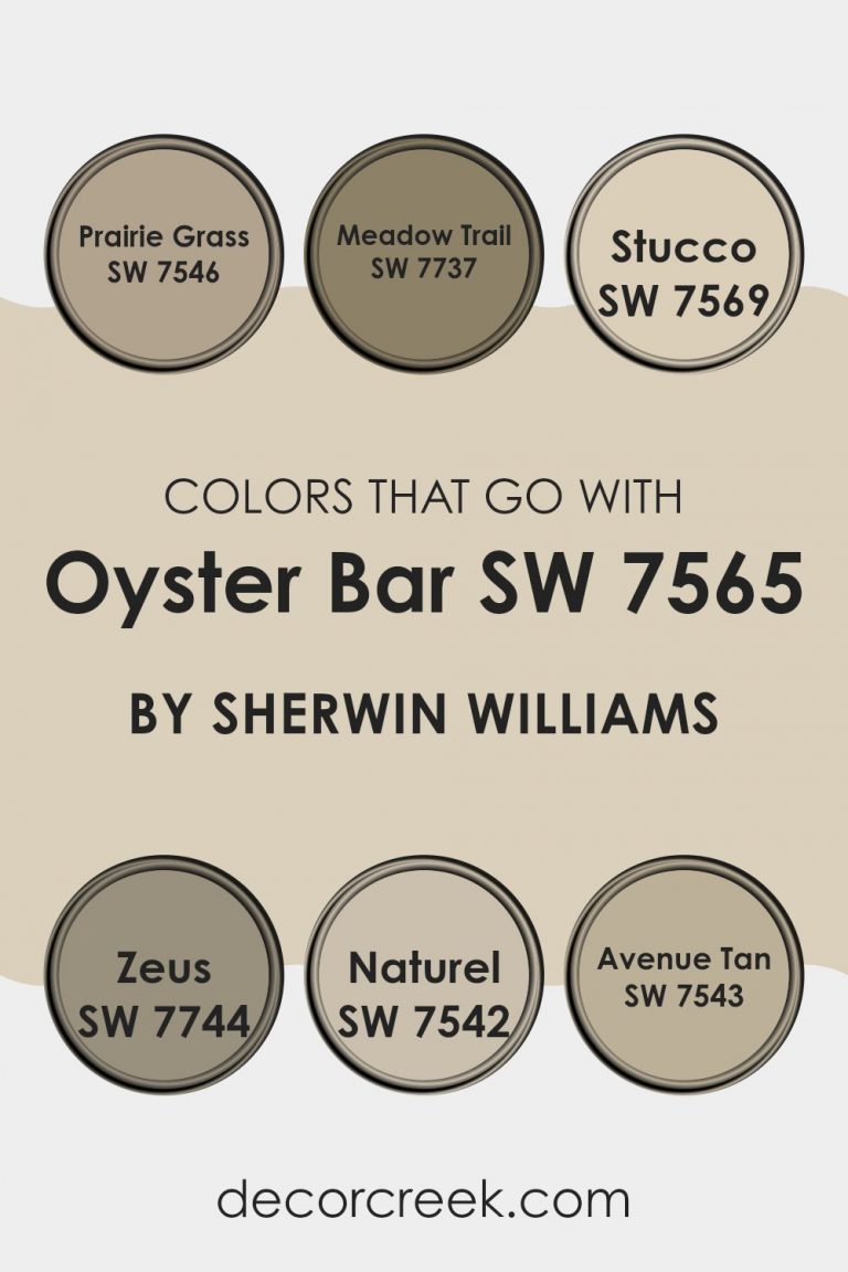 Oyster Bar SW 7565 Paint Color by Sherwin Williams - DecorCreek