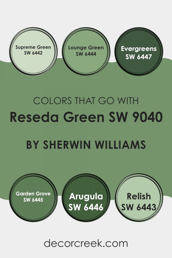 Reseda Green SW 9040 Paint Color by Sherwin Williams - DecorCreek