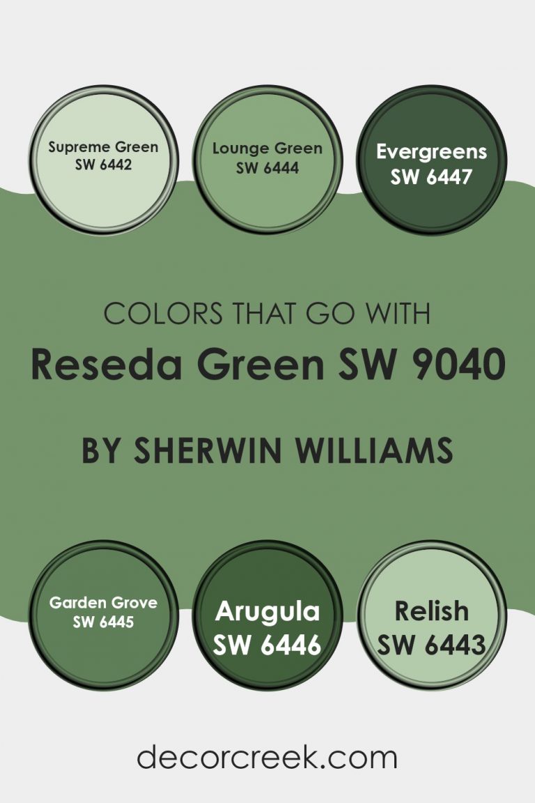 Reseda Green SW 9040 Paint Color by Sherwin Williams - DecorCreek