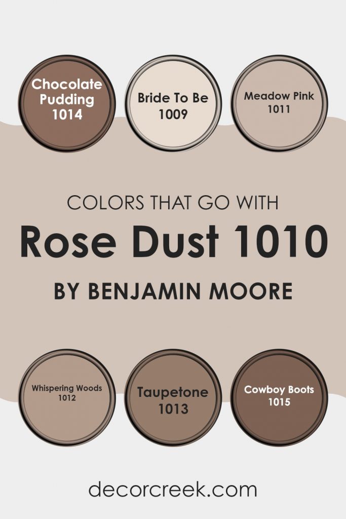 Rose Dust 1010 Paint Color by Benjamin Moore - DecorCreek