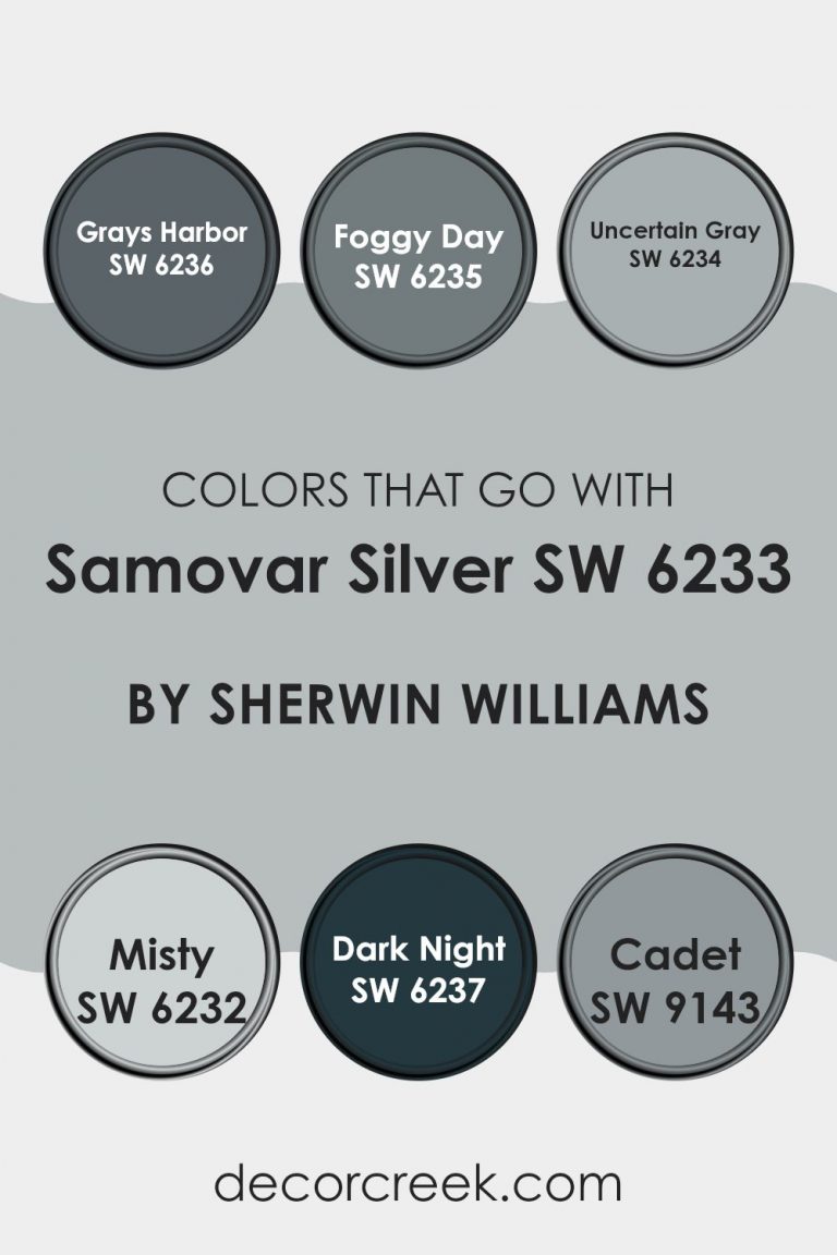 Samovar Silver SW 6233 Paint Color by Sherwin Williams - DecorCreek