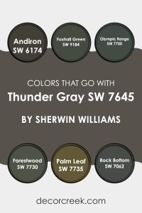 Thunder Gray SW 7645 Paint Color by Sherwin Williams - DecorCreek
