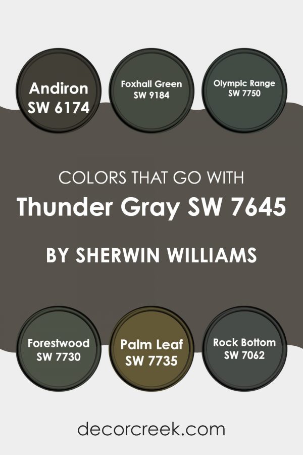 Thunder Gray SW 7645 Paint Color by Sherwin Williams - DecorCreek