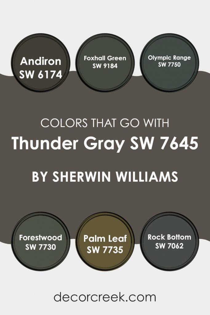 Thunder Gray SW 7645 Paint Color by Sherwin Williams - DecorCreek