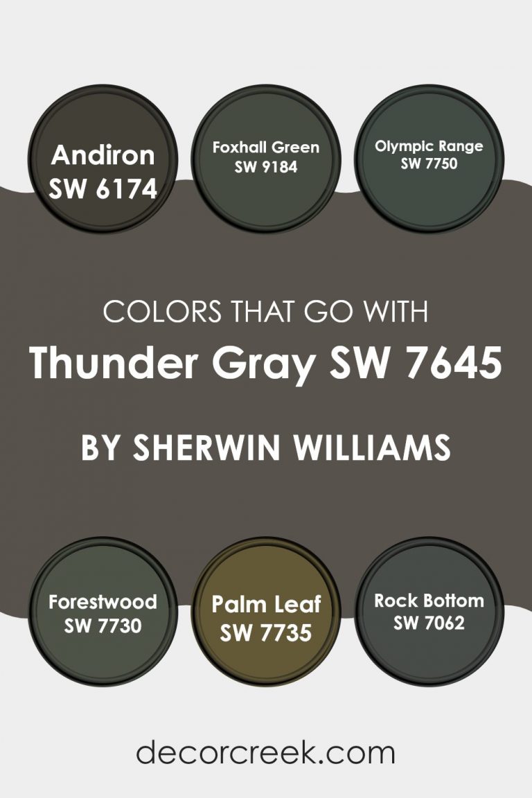 Thunder Gray SW 7645 Paint Color by Sherwin Williams - DecorCreek