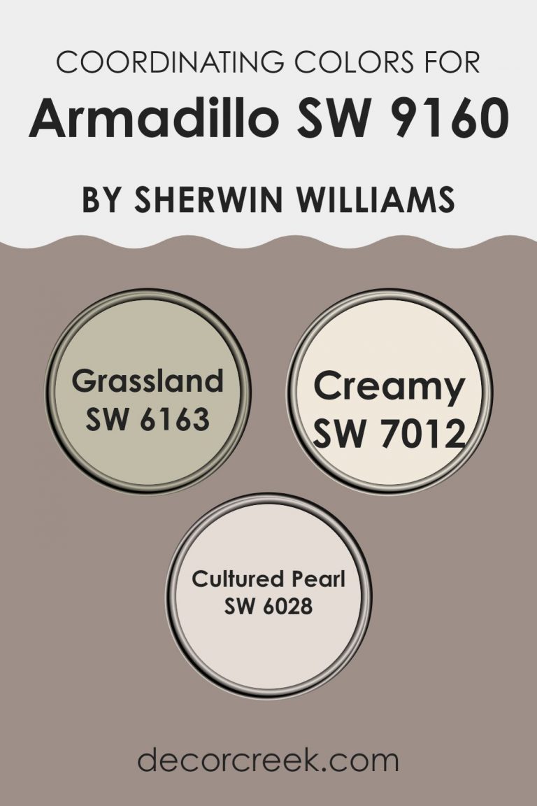 Armadillo SW 9160 Paint Color by Sherwin Williams - DecorCreek
