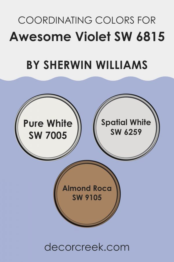 Awesome Violet SW 6815 Paint Color by Sherwin Williams - DecorCreek