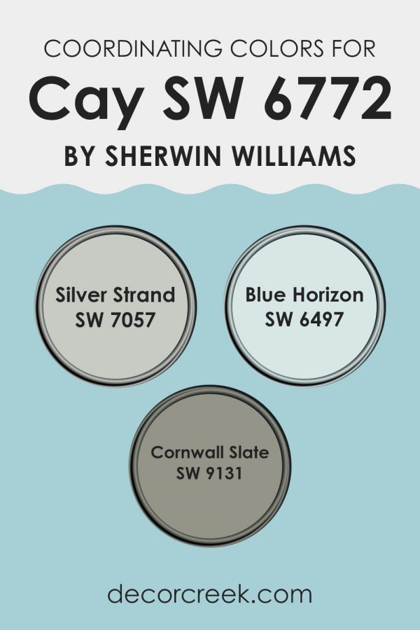 Cay SW 6772 Paint Color by Sherwin Williams - DecorCreek