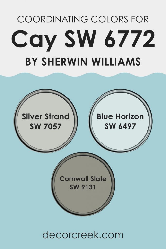 Cay SW 6772 Paint Color by Sherwin Williams - DecorCreek