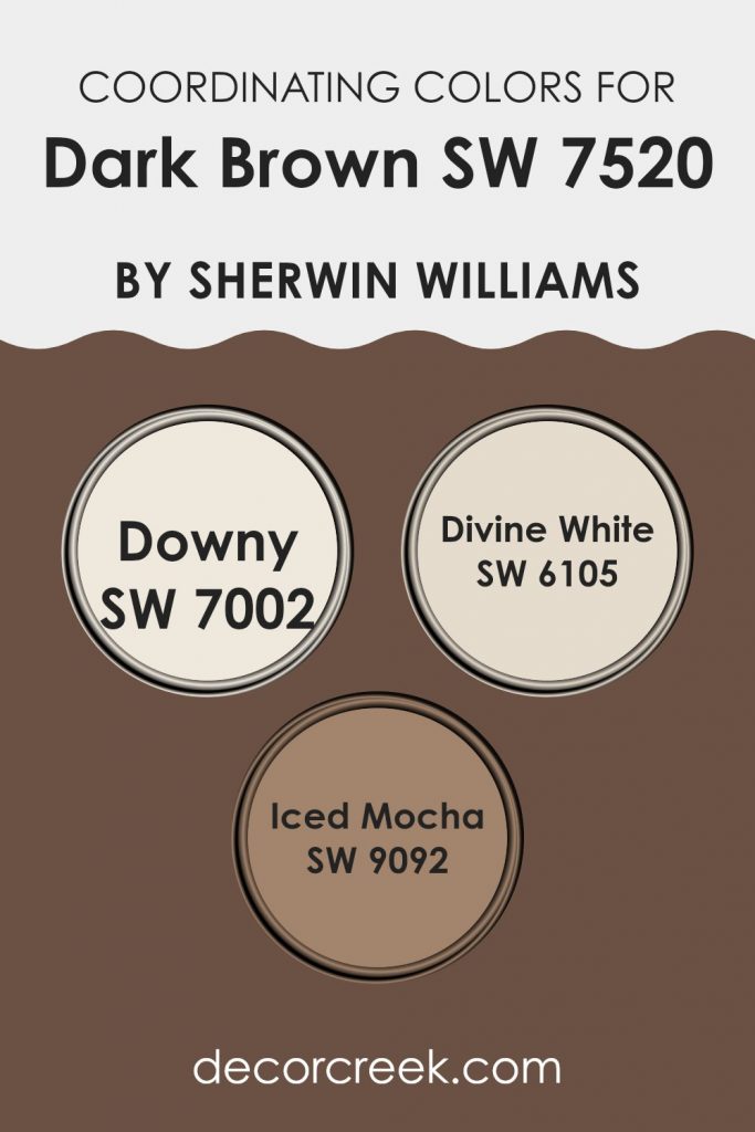 Dark Brown SW 7520 Paint Color by Sherwin Williams - DecorCreek