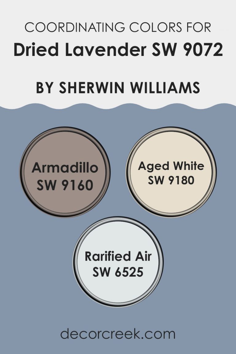 Dried Lavender SW 9072 Paint Color by Sherwin Williams - DecorCreek