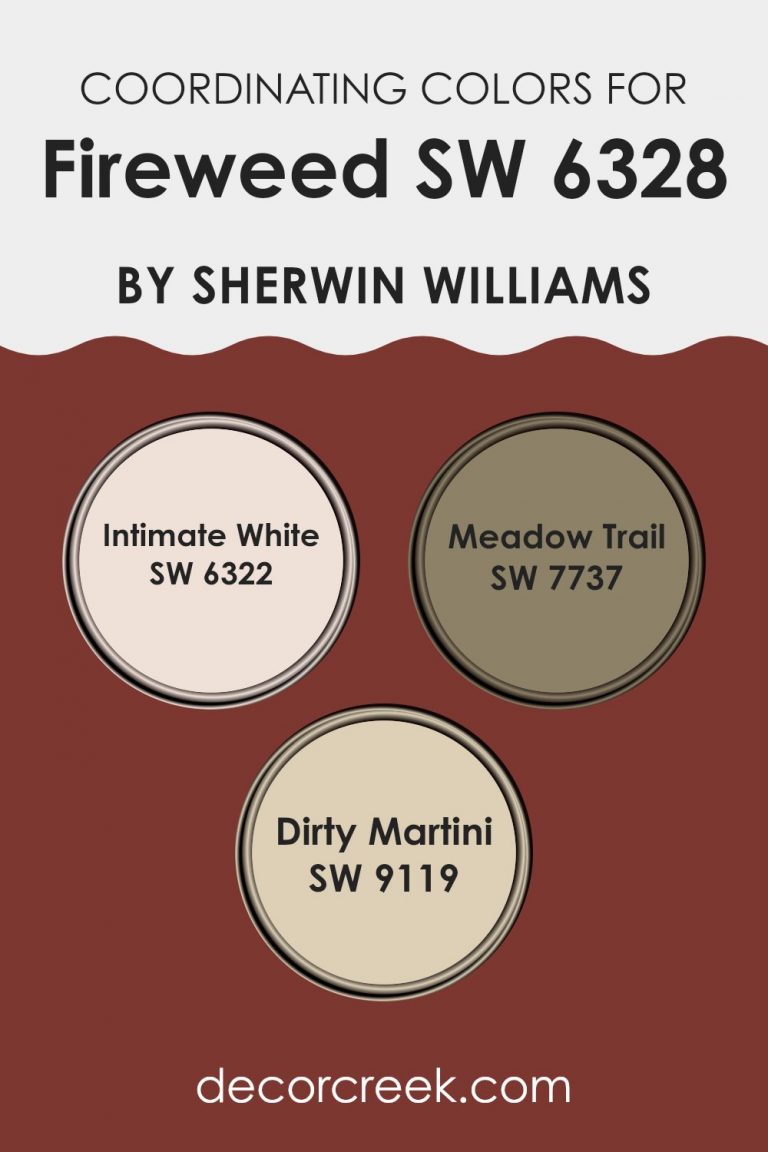Fireweed SW 6328 Paint Color by Sherwin Williams - DecorCreek