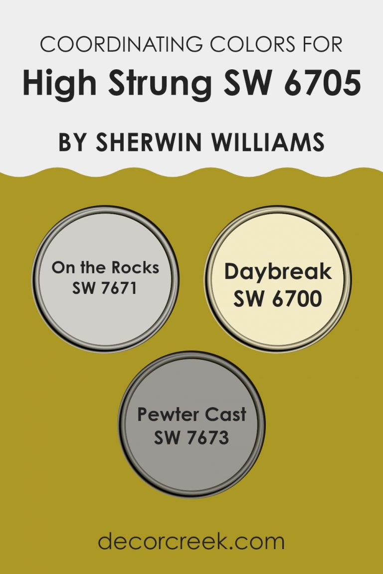 High Strung SW 6705 Paint Color by Sherwin Williams - DecorCreek