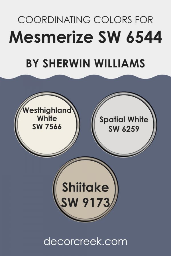 Mesmerize SW 6544 Paint Color by Sherwin Williams - DecorCreek