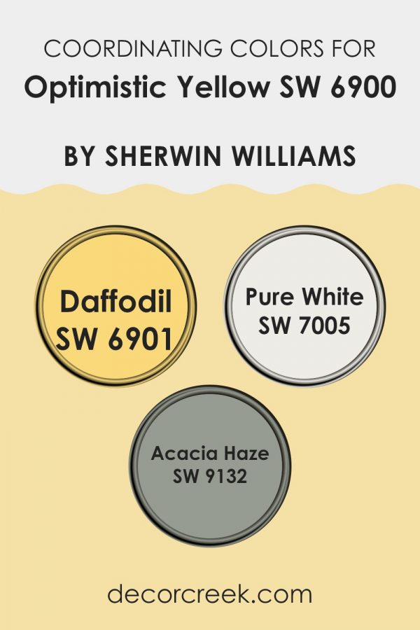 Optimistic Yellow SW 6900 Paint Color by Sherwin Williams - DecorCreek