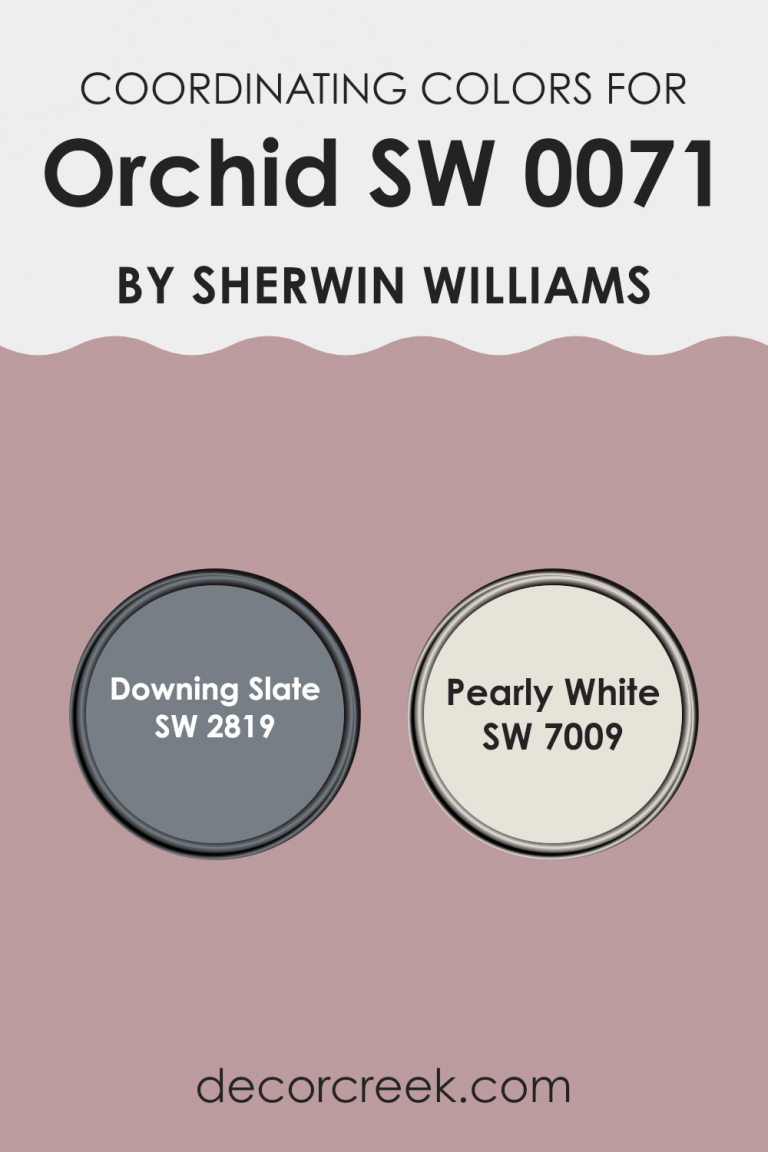 Orchid SW 0071 Paint Color by Sherwin Williams - DecorCreek