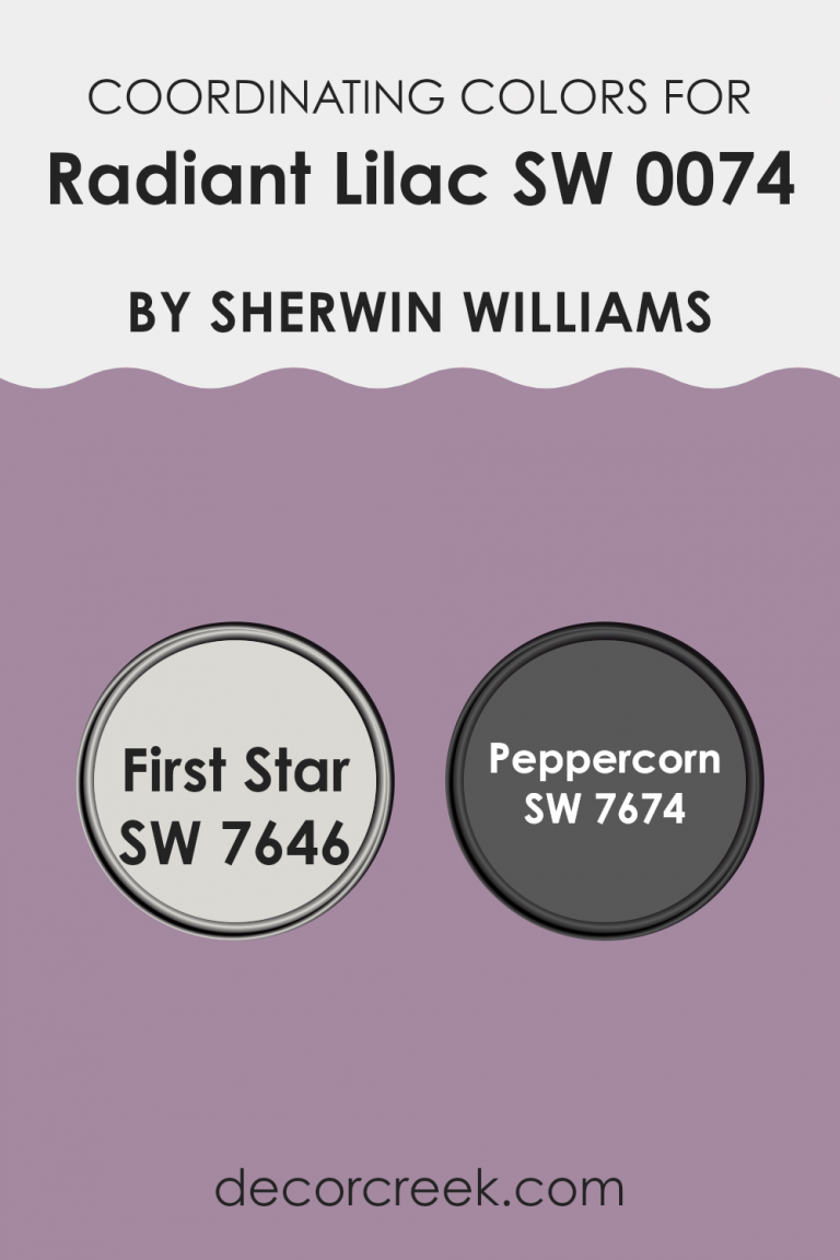 Radiant Lilac SW 0074 Paint Color by Sherwin Williams - DecorCreek