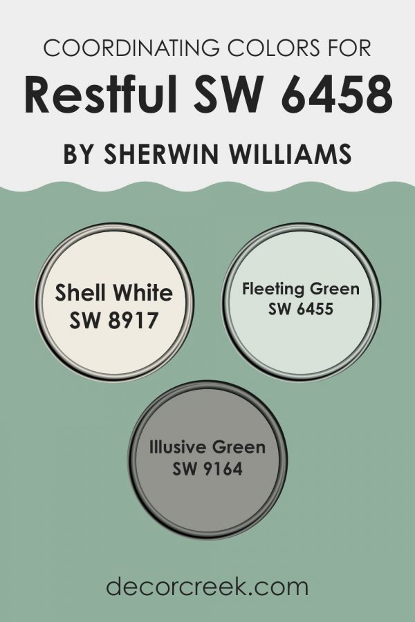 Restful SW 6458 Paint Color by Sherwin Williams - DecorCreek