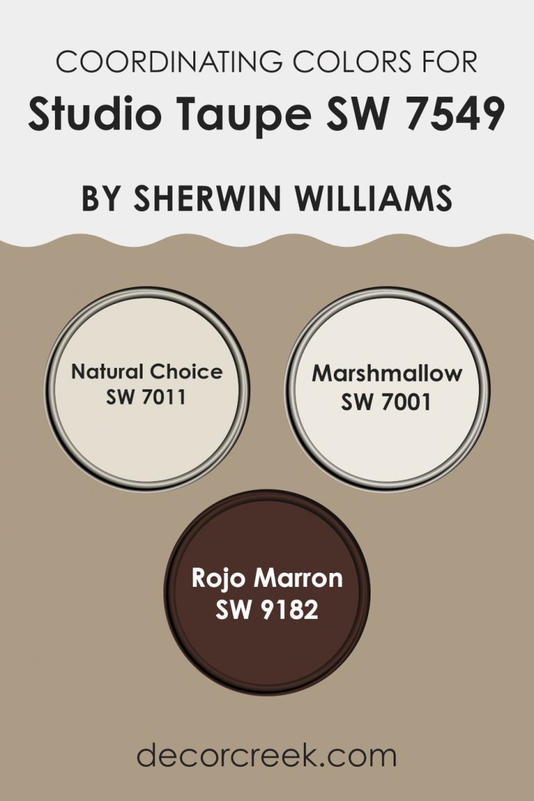 Studio Taupe SW 7549 Paint Color by Sherwin Williams - DecorCreek