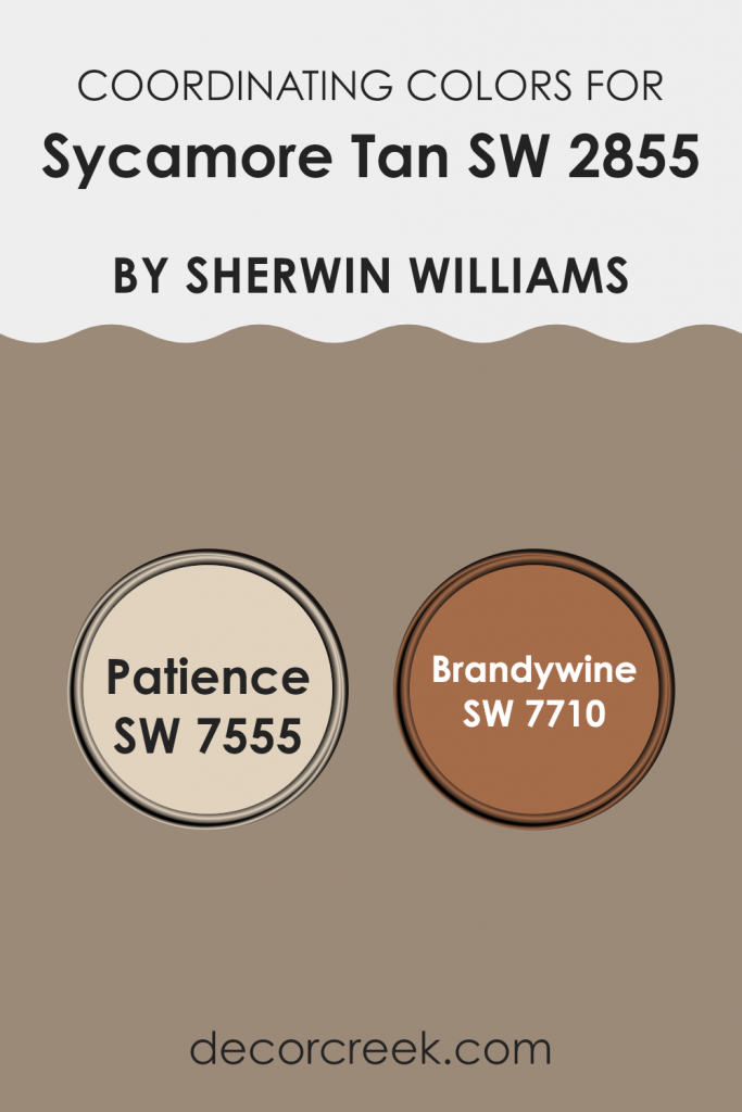 Sycamore Tan SW 2855 Paint Color by Sherwin Williams - DecorCreek