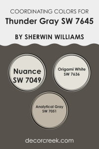 Thunder Gray SW 7645 Paint Color by Sherwin Williams - DecorCreek