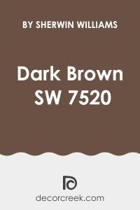 Dark Brown SW 7520 Paint Color by Sherwin Williams - DecorCreek