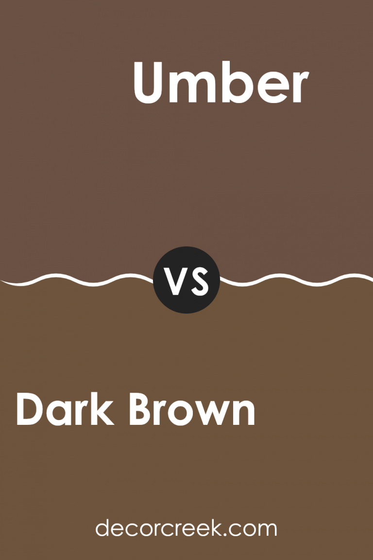 Dark Brown SW 7520 Paint Color by Sherwin Williams - DecorCreek