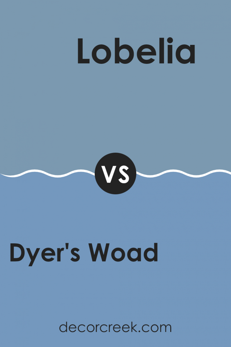 Dyer's Woad SW 9071 Paint Color by Sherwin Williams - DecorCreek