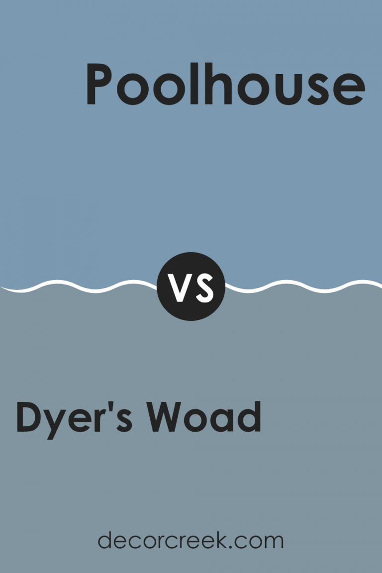 Dyer's Woad SW 9071 Paint Color by Sherwin Williams - DecorCreek