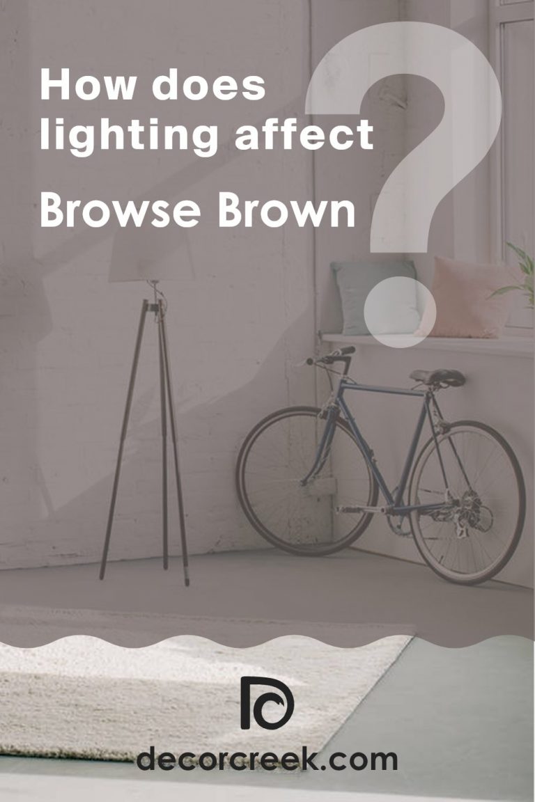 Browse Brown SW 6012 Paint Color by Sherwin Williams - DecorCreek