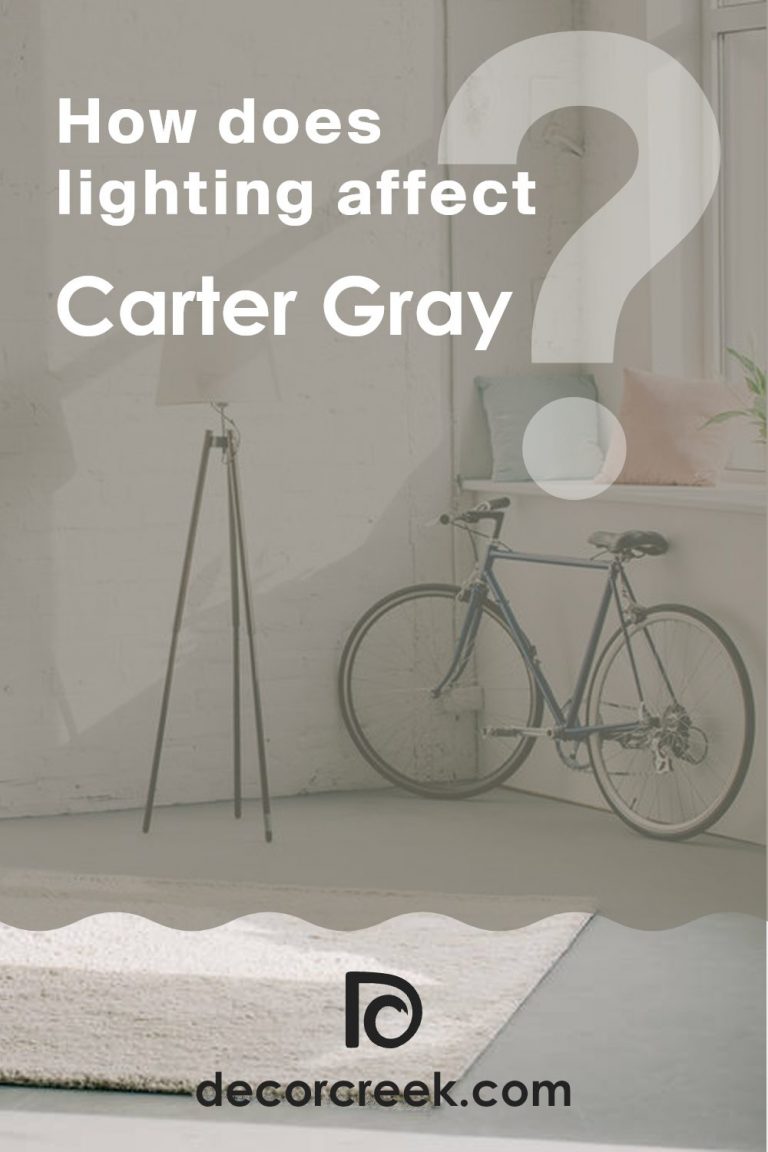 Carter Gray CW-80 Paint Color by Benjamin Moore - DecorCreek