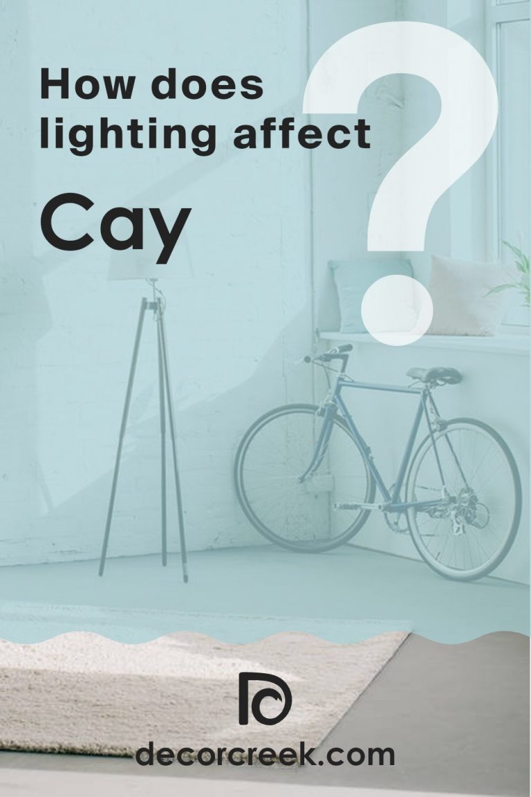 Cay SW 6772 Paint Color by Sherwin Williams - DecorCreek