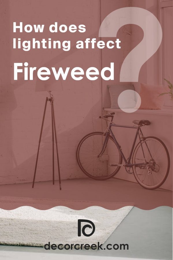 Fireweed SW 6328 Paint Color by Sherwin Williams - DecorCreek