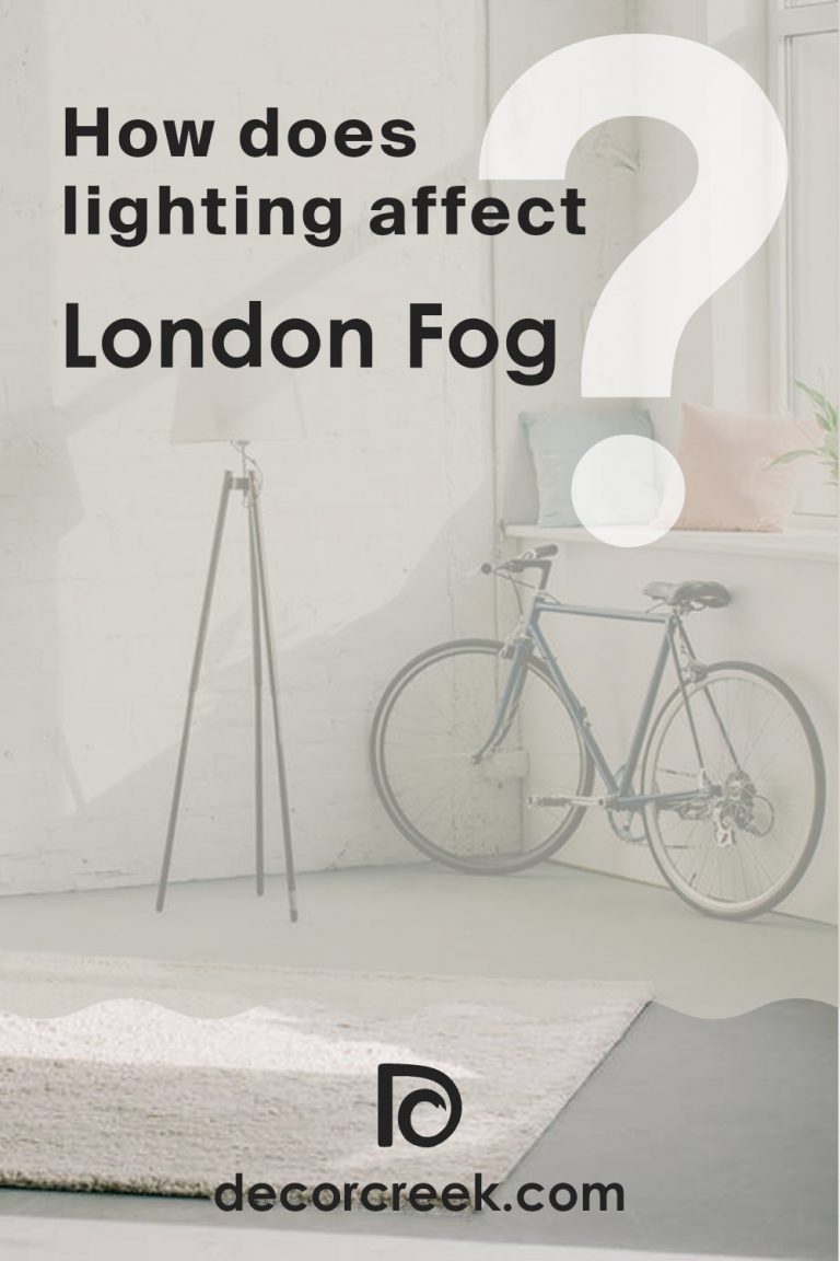 London Fog 1541 Paint Color by Benjamin Moore - DecorCreek