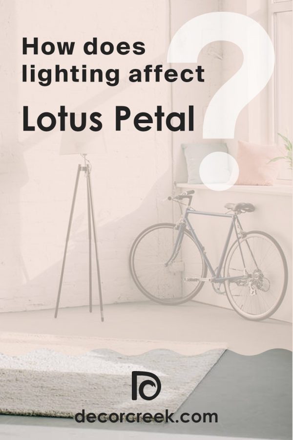 Lotus Petal SW 9697 Paint Color by Sherwin Williams - DecorCreek